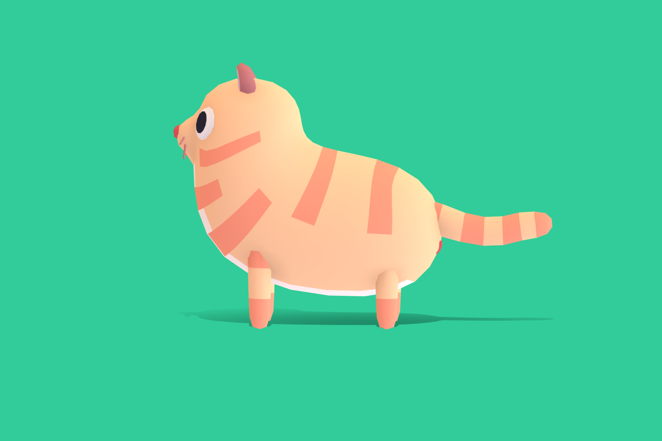 Meelo the Cat – Quirky Series – Polydactyl