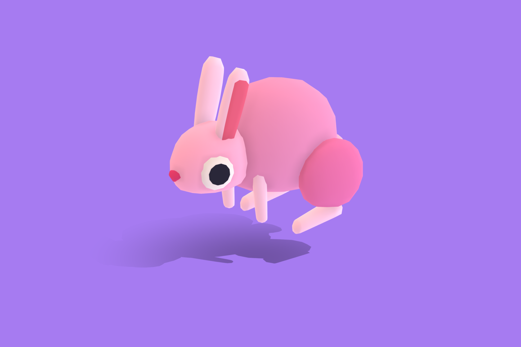 Harry the Rabbit – Quirky Series – Polydactyl